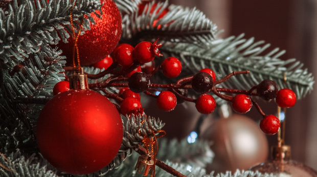 Честитке поводом новогодишњих празника | Друштво | РТС