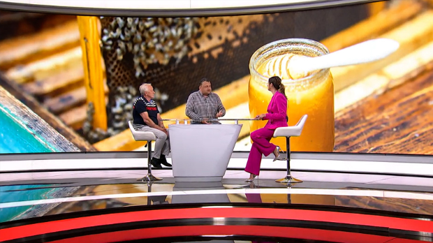 РТС :: Економија :: Пчелари и воћари не могу једни без других – када ће ...