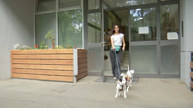 Ако сте активни и волите псе, можда би требало да размислите о овоме ...