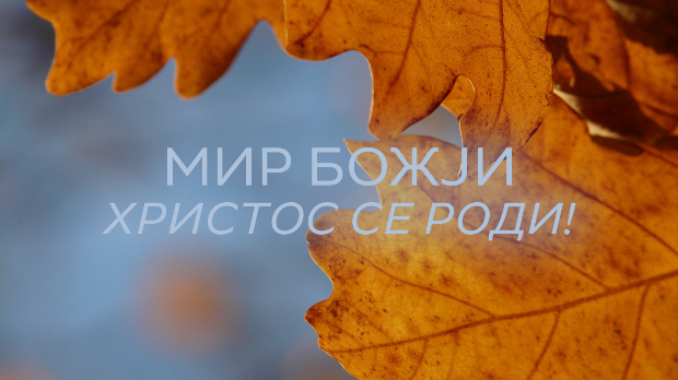 Mir Božji, Hristos se rodi | Društvo | RTS