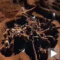 RTS :: Zanimljivosti :: Fascinantna mravlja arhitektura