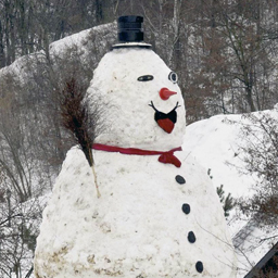 RTS :: Zanimljivosti :: Najveći Sneško u Poljskoj