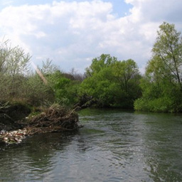 РТС :: Хроника :: Трагедија код Житорађе