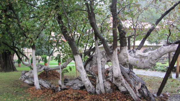 Marina Šibalić: Zaštita prirode vodi i do socioekonomske dobrobiti ...