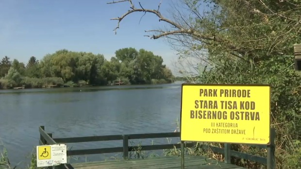 Biserno ostrvo Tise, turistička oaza i dom jedinstvene vrste grožđa u ...