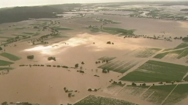 RTS :: Priroda :: Prvi put u ovom veku trostruka La Ninja