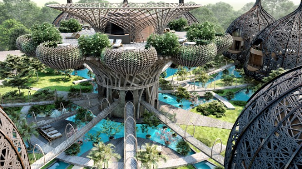 Život na drvetu, a apartmani kao ptičija gnezda | Priroda | RTS