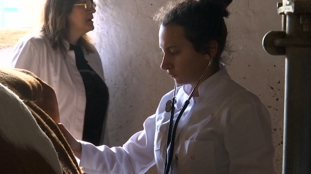 Kako Jovana kod babe i dede na imanju primenjuje lekcije iz škole ...