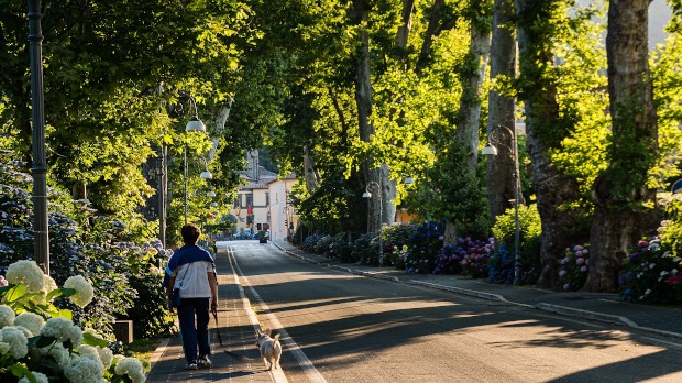 RTS :: Priroda :: Zelenilo u gradovima – za duži i kvalitetniji život ...